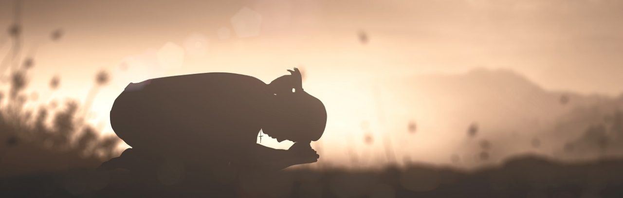 The Prayer of An EDS/Chiari/Comorbid Patient - Chiari Bridges