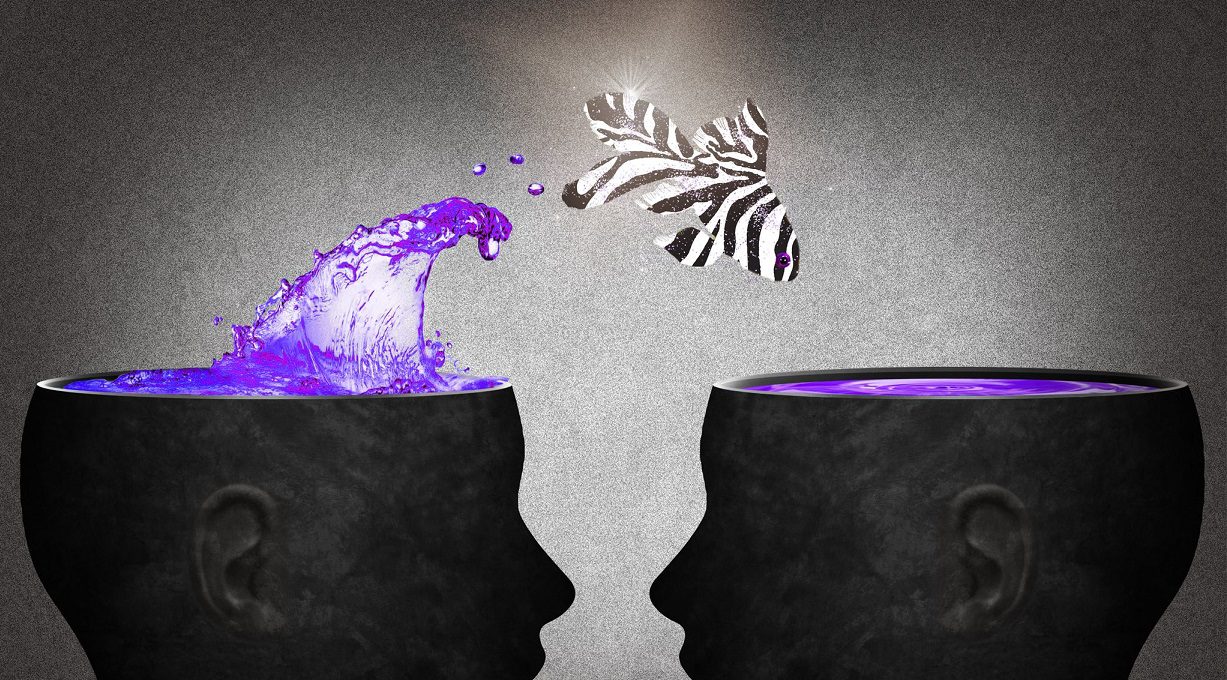 Nonprofessional Opinions (NPOs) - Chiari Bridges